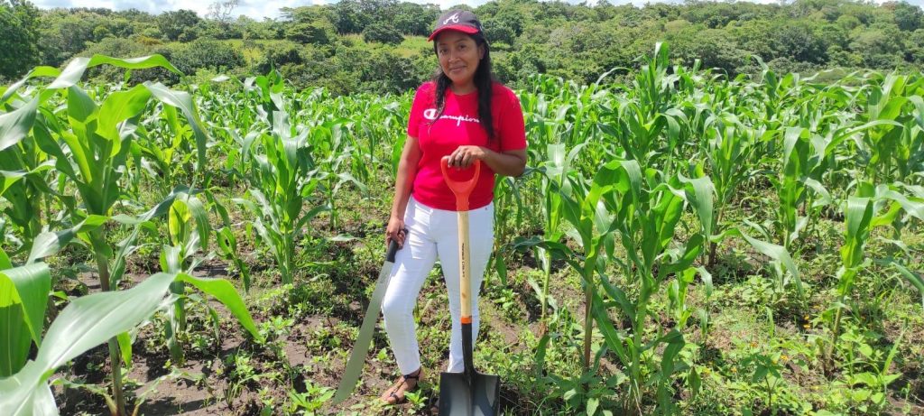 Mayores Expectativas en la Producción de Granos Básicos - Diario Nacional